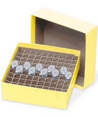 Cardboard Cryovial Box and Lid (pk of 12): Cryogenic Storage Box Racks ...