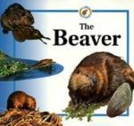 Beaver: Amazon.co.uk: Crewe, Sabrina: 9780613197496: Books
