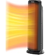 Amazon.com: PELONIS Oil Filled Radiator Heater Luxurious Champagne ...