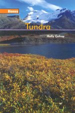 Amazon.com: Tundra: Leveled Reader (Rigby on Deck Reading Libraries ...
