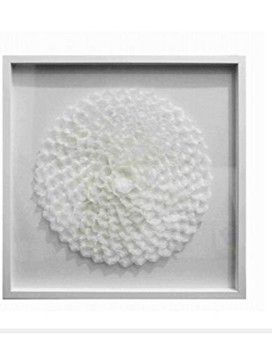 Round Wall Panel in White Finish : Amazon.in: Home & Kitchen