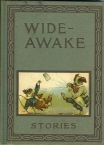 Wide Awake Stories: unknown author: Amazon.com: Books