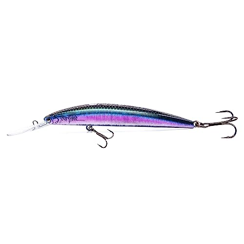 Top 10 Jerkbait For Smallmouth Bass of 2022 - Katynel
