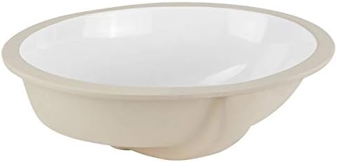Signature Hardware 447972 Mangrove 21" Vitreous China Undermount ...