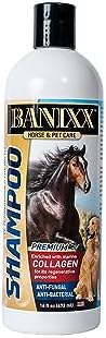 Buy Banixx Medicated Anti-Fungal, Anti-Bacterial Shampoo Online at Low ...