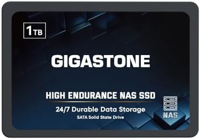 Amazon.com: Gigastone 512GB NAS SSD Drive 24/7 Durable TLC High ...