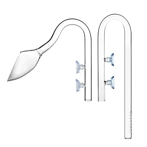 Lily Pipes - Different Designs & Usage and How to Choose One
