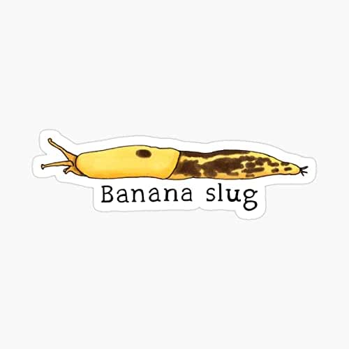 Amazon.com: Banana slug Sticker Decal for Car Vans Truck Laptop Bumper ...