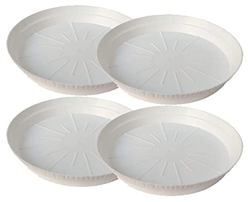 GREEN INDIA Planter Bottom Plate/Gamla Dripping Tray, White Color ...