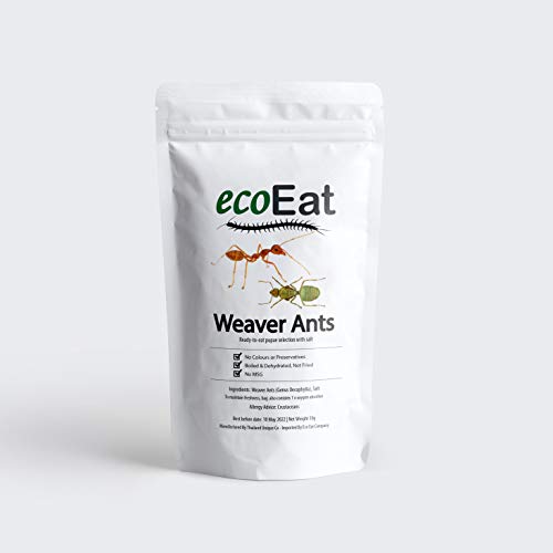 ecoEat Edible Weaver Ant Insect.- 10g Package – Edible Bugs - Snack ...
