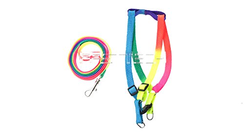 Adjustable Rainbow Color Dacron Harness Belt Strap for Pet Dog - Dacron ...
