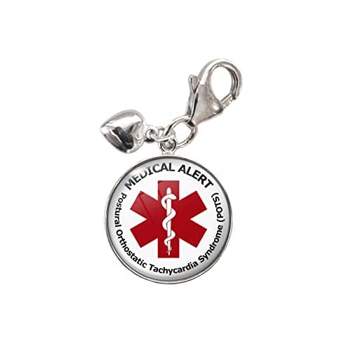 Amazon.com: Medical Alert POTS.925 Sterling Silver Charm : Handmade ...