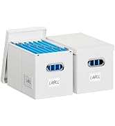 Amazon.com: Chizjox File Organizer Box with Lid - Set of 2 Portable ...