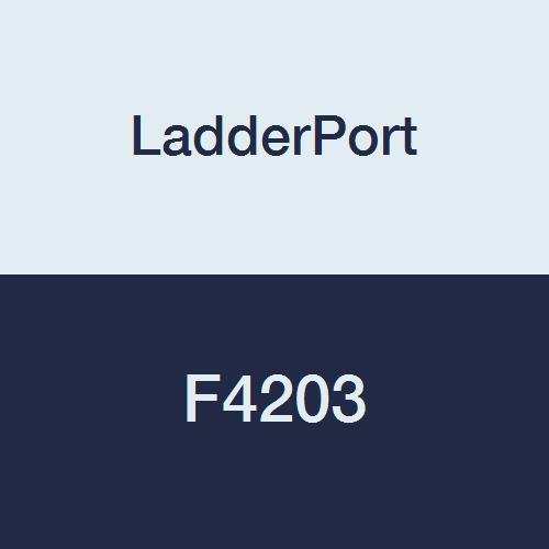 LadderPort F4203 Parapet 20"-30" Back Ladder System, 2 Step: Amazon.com ...