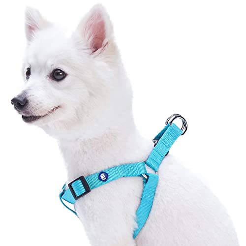 The Ultimate Guide to Finding the Perfect Turquoise Dog Harness: Top 10 ...