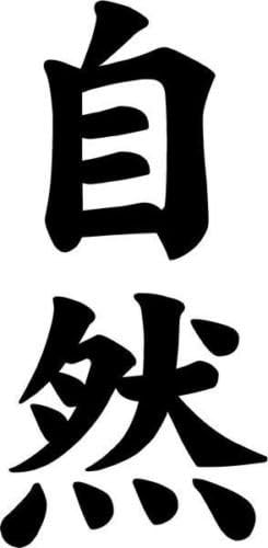 Amazon.com: Japanese Kanji Nature Shizen Symbol Car Truck Windows Decor ...