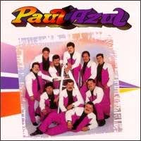 Amazon.com: Pauta Azul: CDs y Vinilo