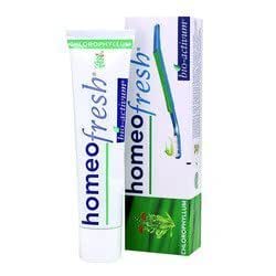 Amazon.com : Homeofresh, Chlorophyll Toothpaste, 84 Gram : Health ...