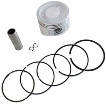 Amazon.com: Replace Parts for Machine Rings Piston Kit for Predator ...