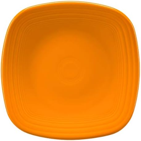 Amazon.com | Fiesta Square Luncheon Plate, 9-1/8-Inch, Turquoise ...