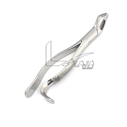 Amazon.com: LAJA IMPORTS Dental Forceps 210H Upper MOLARS, Hook Handle ...