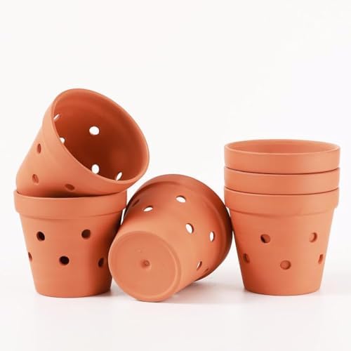 Amazon.com: Terracotta Orchid Pots, 6 Inch Orchid Pot with Holes and ...