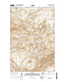 Amazon.com: Swanson Lakes, Washington topo map by East View Geospatial ...
