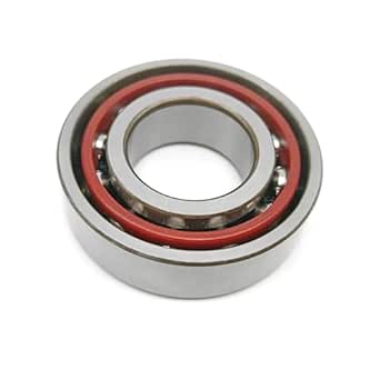 TBZFNZXF 1 Piece 7004 7004AC 7004AC/P5 20X42X12 Angular Contact ...