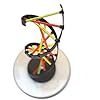 Amazon.com: The DNA Double Helix Clock : Home & Kitchen