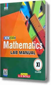 Amazon.in: Buy New Era Mathematics Lab Manual class XI Book Online at ...