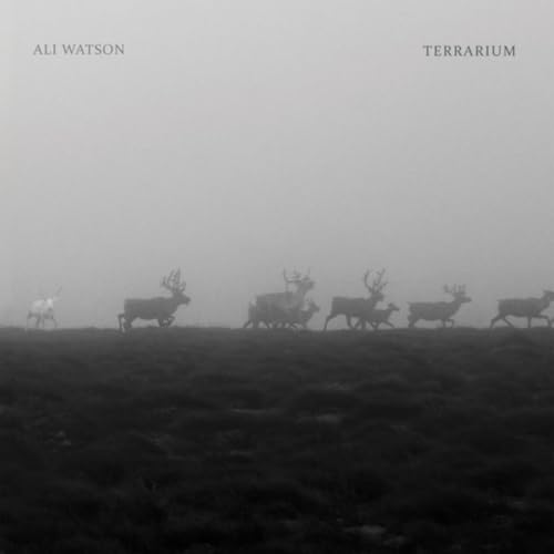 Amazon.com: Terrarium : Ali Watson: Digital Music