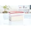 Buy Tupperware TRK085 Plastic Rice Keeper - 5 kg, Red. Online at Low ...