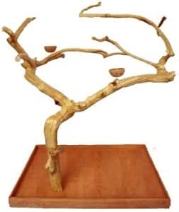 Amazon.com : Large Single Java Wood Tree Parrot Play Stand : Birdcage ...
