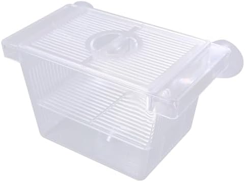 Amazon.com : Fish Breeding Box Acrylic Hatchery Incubator Tank with ...