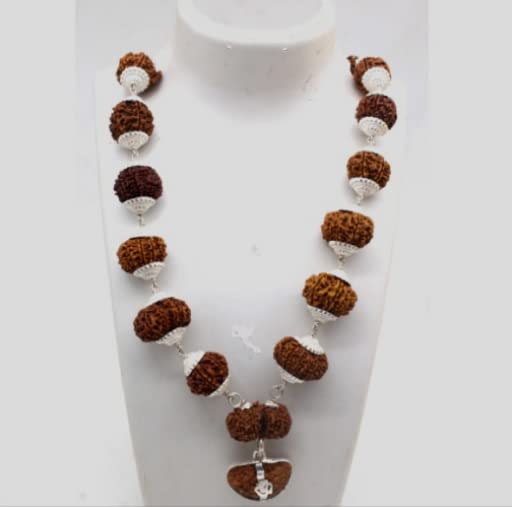 Gemstone Gallery 1 To 14 Mukhi Rudraksha Mala Original Certified ...