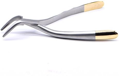 Amazon.com: Angzhili 1 Piece Dental Tooth Extraction Forcep for Root ...