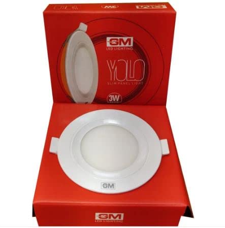 Buy White 6 W GM Yolo LED Round Slim Panel Light Online at Low Prices ...