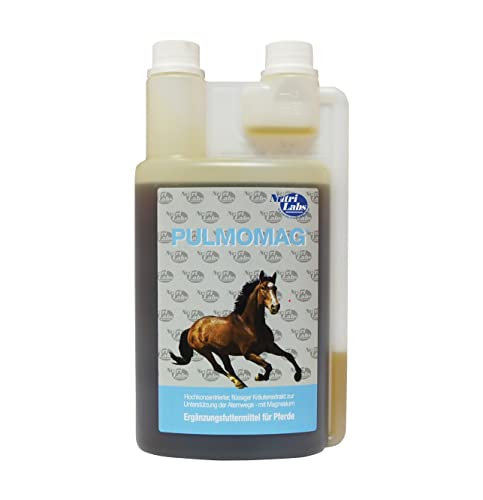 Pferd Hustensaft – Die 15 besten Produkte im Vergleich - Reiterguide ...