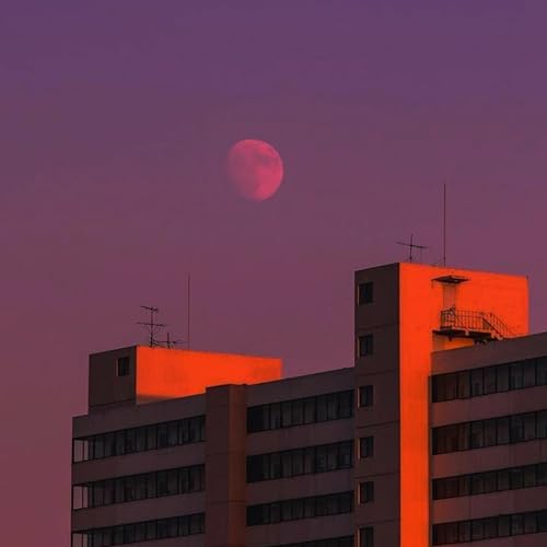 Without Your Love by Lancco on Amazon Music - Amazon.com