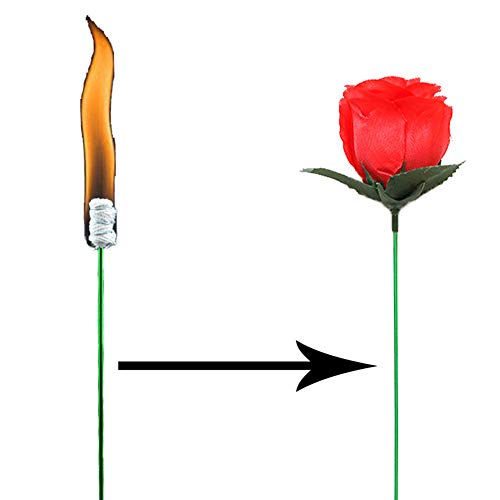 Top 10 Magic Tricks For Adults of 2022 - Katynel