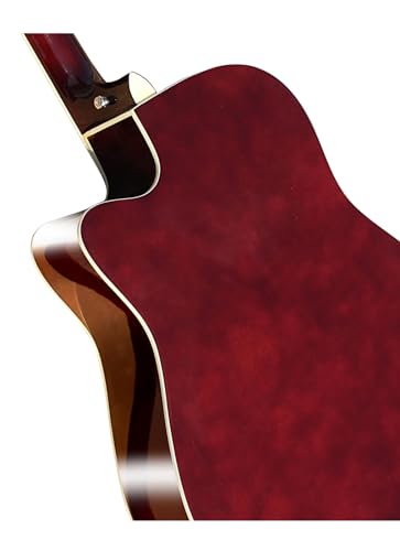 Neowood (FLY-DCM-SB) Dreadnought Cutaway Acoustic Guitar With Matt ...