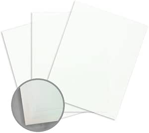 Amazon.com : Curious Translucents White Paper - 27 1/2 x 39 3/8 in 27 ...