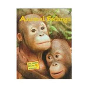 Buy Animal Feelings (The Secret Life of Animals) Book Online at Low ...