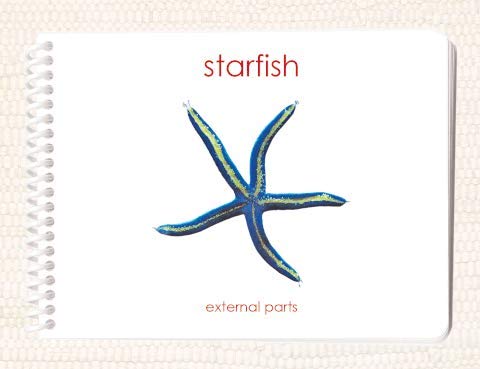 Starfish (Sea Star): External Parts Book (External Anatomy of the ...