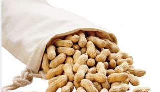 Avlokan Winter Badam Peanuts/Mungfali Dana with Shell/Groundnut with ...