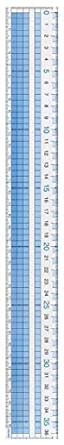 Raymay Fujii AJH408 Ruler, Easy to Read Grid Ruler, 14.2 inches (36 cm ...