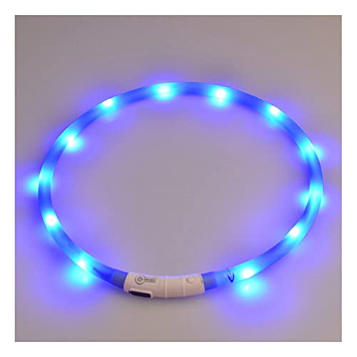 Find The Best Led Safety Dog Collar Reviews & Comparison - Katynel