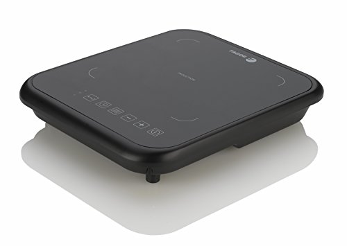Fagor Portable Induction Cooktop (670041860) Review - Cookery Space