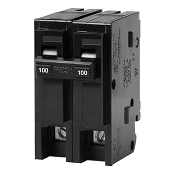100 Amp 2 Pole Circuit Breaker, Replace for SD HOM2100, Compatible with ...