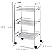 Amazon.com: WENKO Storage 3 Tier Rolling Utility, Craft Art Cart, Multi ...